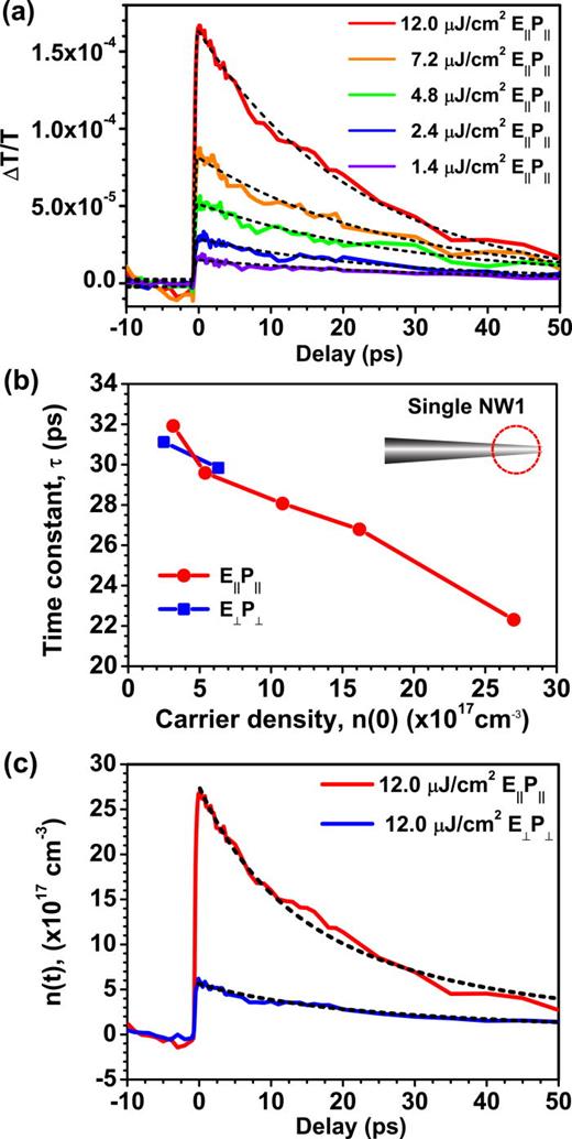 Understanding ultrafast carrier dynamics in single quasi-one-dimensional Si nanowires | Applied ...