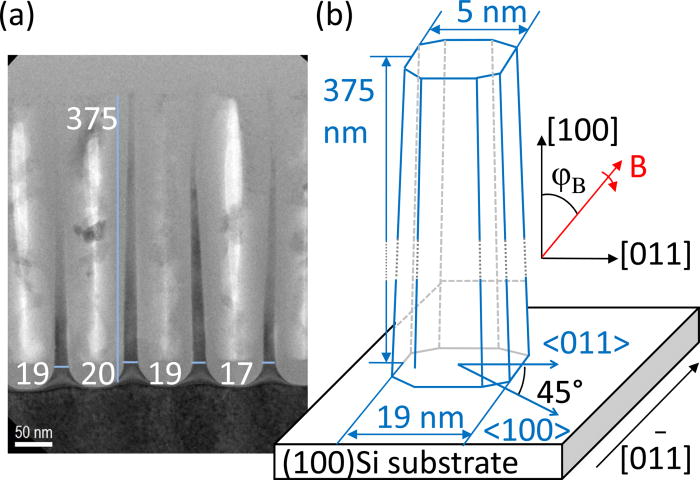 Interface nature of oxidized single-crystal arrays of etched Si ...