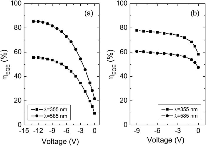 Characterizing the charge collection efficiency in bulk heterojunction ...