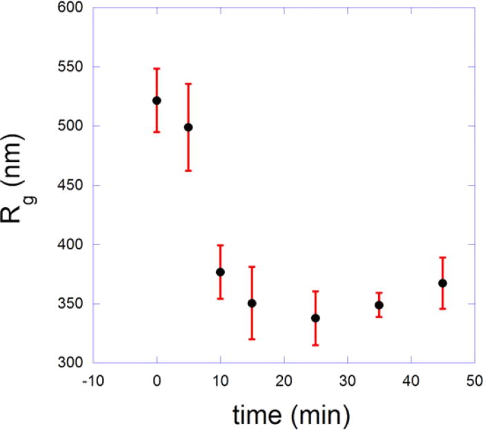 DNA-cisplatin binding mechanism peculiarities studied with single ...