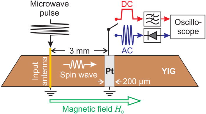 Direct detection of magnon spin transport by the inverse spin Hall ...