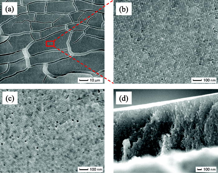 Piezoresponse properties of orderly assemblies of BaTiO3 and SrTiO3 ...
