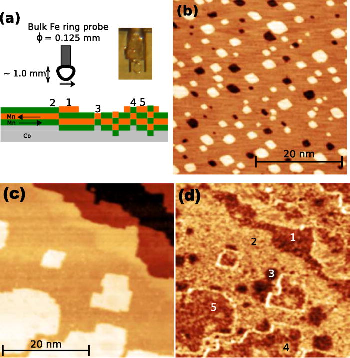 Spin-polarized scanning tunneling microscopy study of Mn/Co/Cu(001 ...