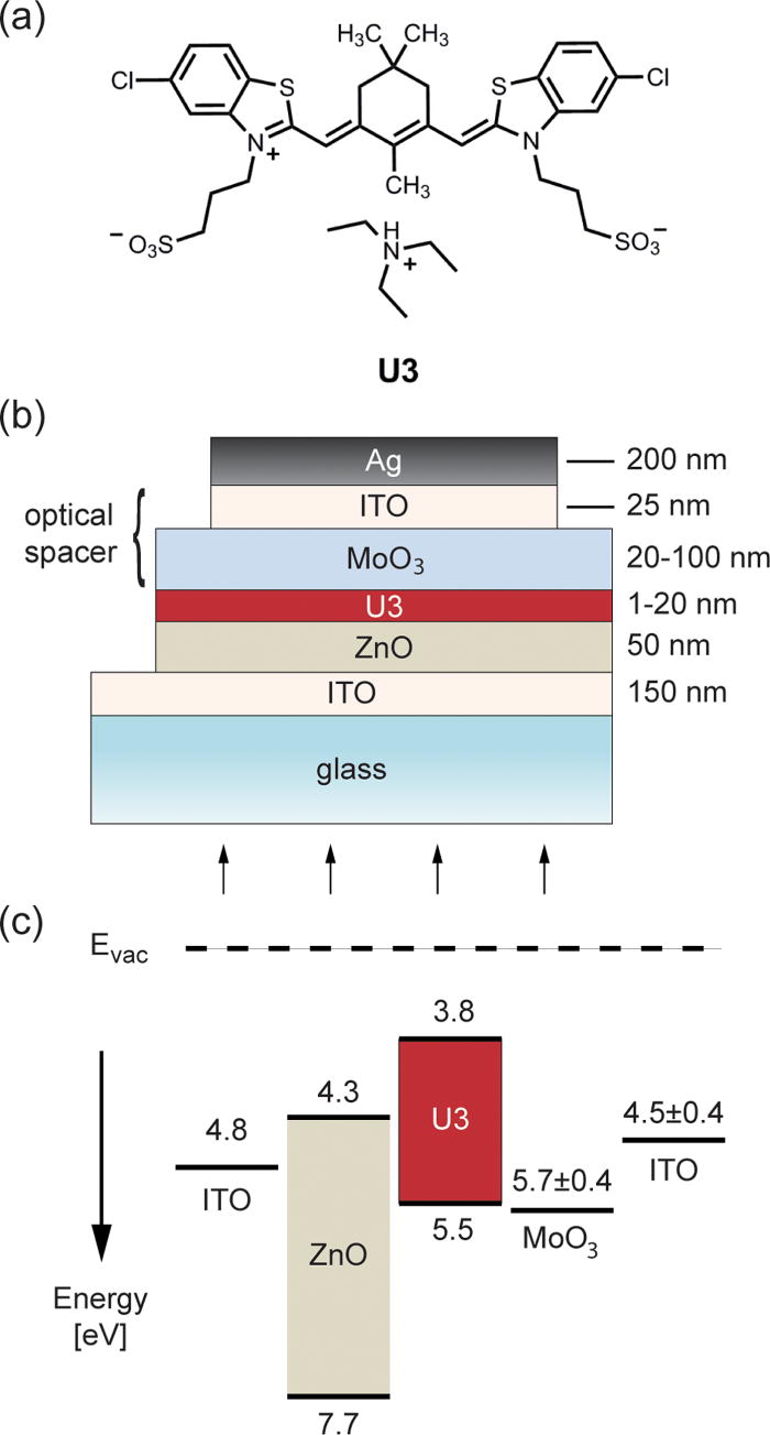 Near-infrared photodetector consisting of J-aggregating cyanine dye and metal oxide thin films ...