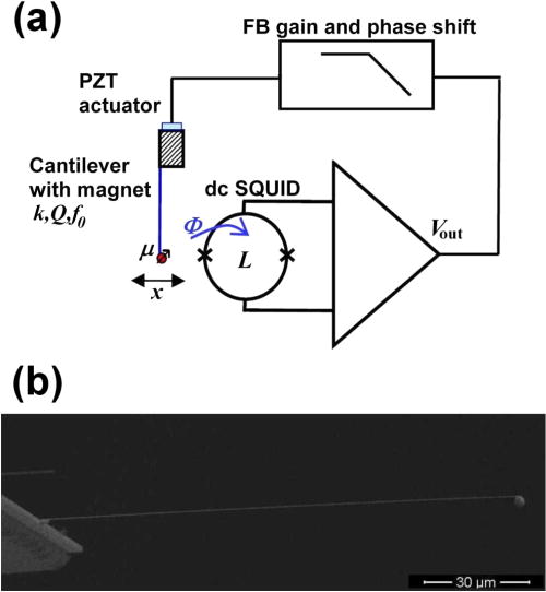 High sensitivity SQUID-detection and feedback-cooling of an ultrasoft ...
