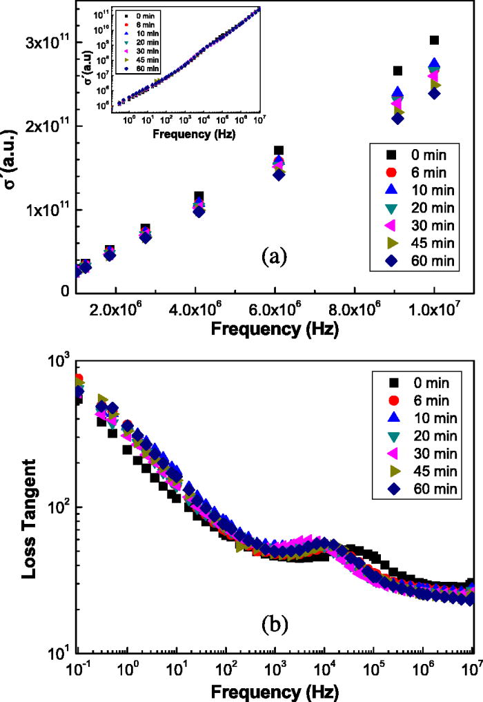Probing radiation damage by alternated current conductivity as a method ...