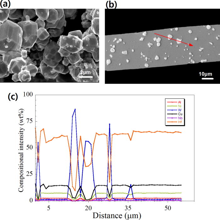 Effect of tungsten metal particle sizes on the solubility of molten ...