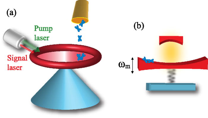 Nonlinear optical mass sensor with an optomechanical microresonator ...
