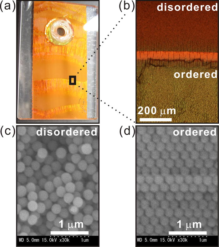 Modified Faraday rotation in a three-dimensional magnetophotonic opal ...