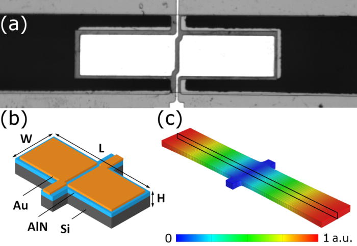 Characterization and simulation of the first extensional mode of ...
