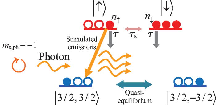 Self-induced spin-polarized carrier source in active photonic device ...