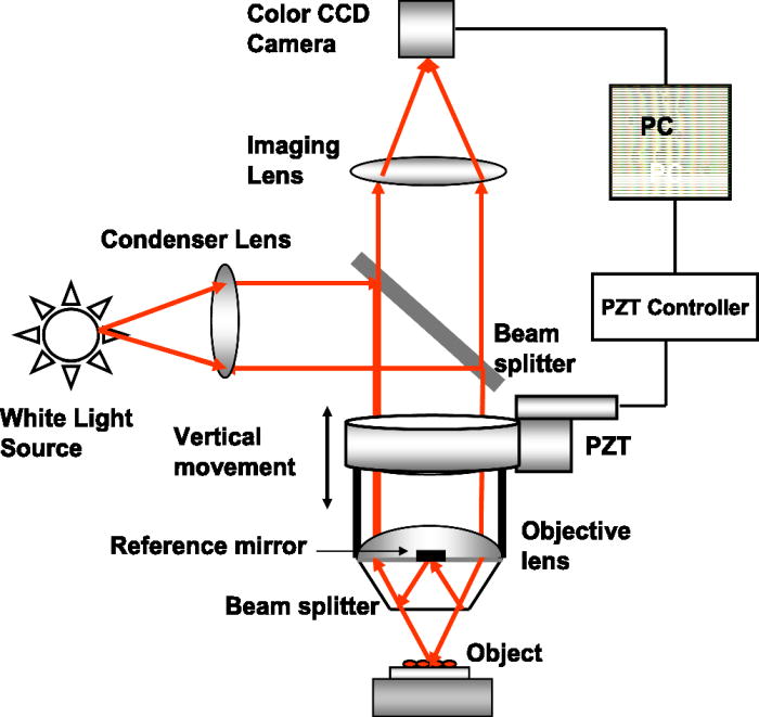 Quantitative phase imaging of human red blood cells using phase ...