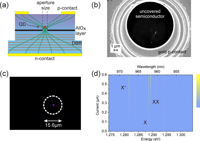 Electrically driven single photon source based on a site-controlled ...