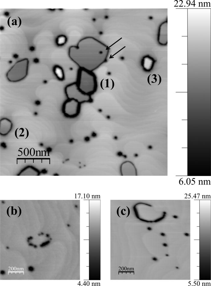 Morphological, structural, and emission characterization of trench ...