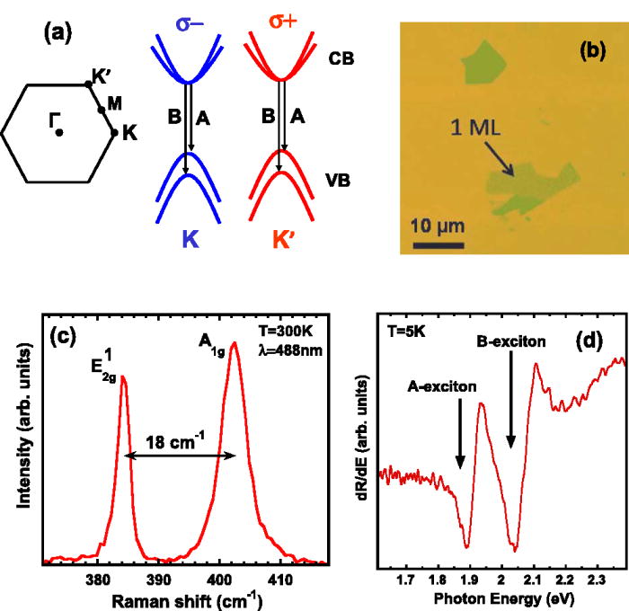 Valley polarization and intervalley scattering in monolayer MoS2 ...
