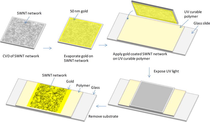 Probing molecular interactions on carbon nanotube surfaces using surface plasmon resonance ...