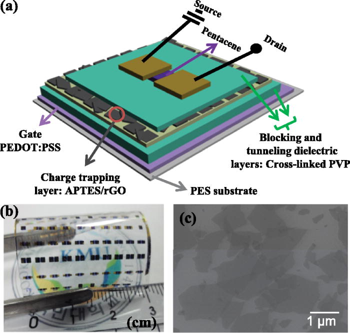 Reduced graphene oxide based flexible organic charge trap memory ...