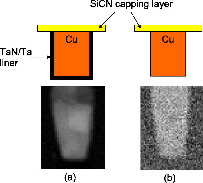 Invasion percolation model for abnormal time-dependent dielectric ...