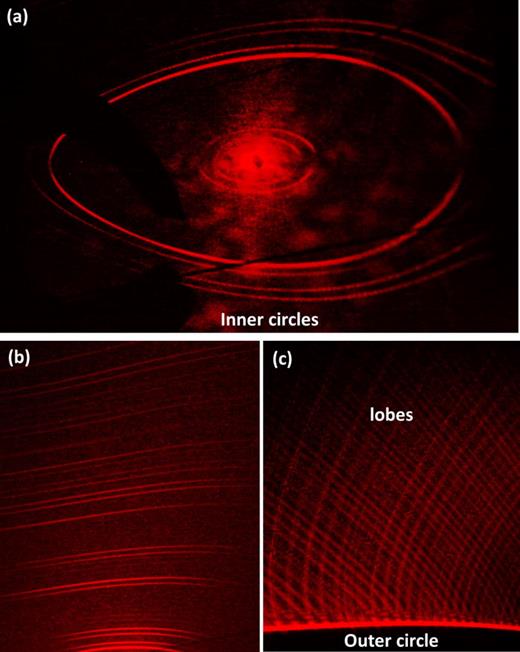 Continuous diffraction patterns from circular arrays of carbon ...