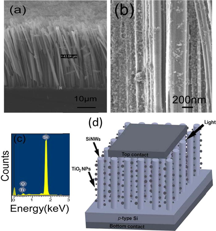 TiO2 nanoparticles and silicon nanowires hybrid device: Role of ...