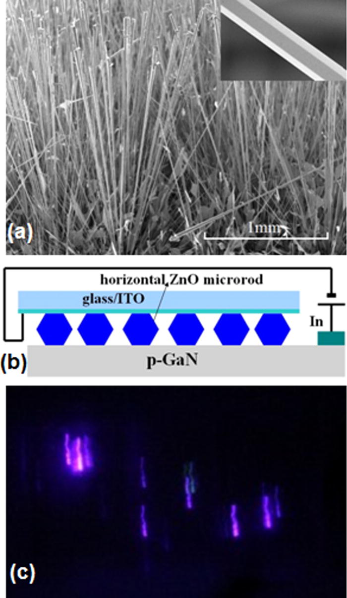 Ultraviolet electroluminescence from horizontal ZnO microrods/GaN ...
