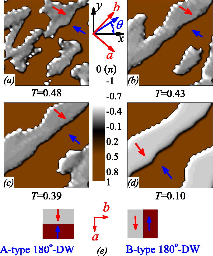 Multiferroic domain structure in orthorhombic multiferroics of ...