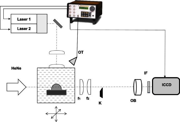 Laser induced bubbles inside liquids: Transient optical properties and ...