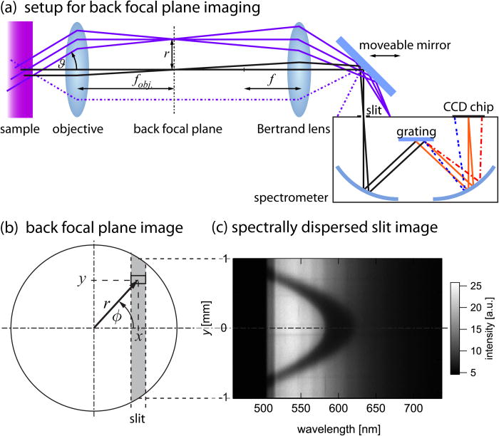 Back focal plane imaging spectroscopy of photonic crystals | Applied ...