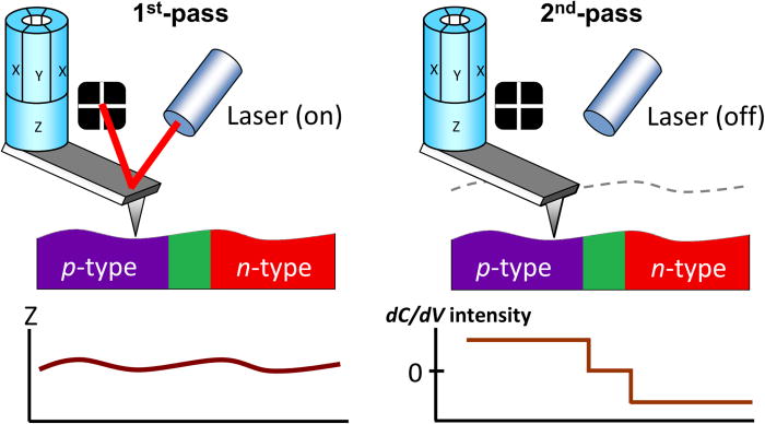 Contrast distortion induced by modulation voltage in scanning ...