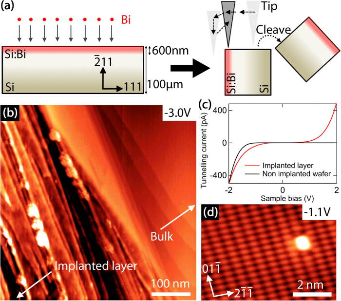 Studying atomic scale structural and electronic properties of ion ...