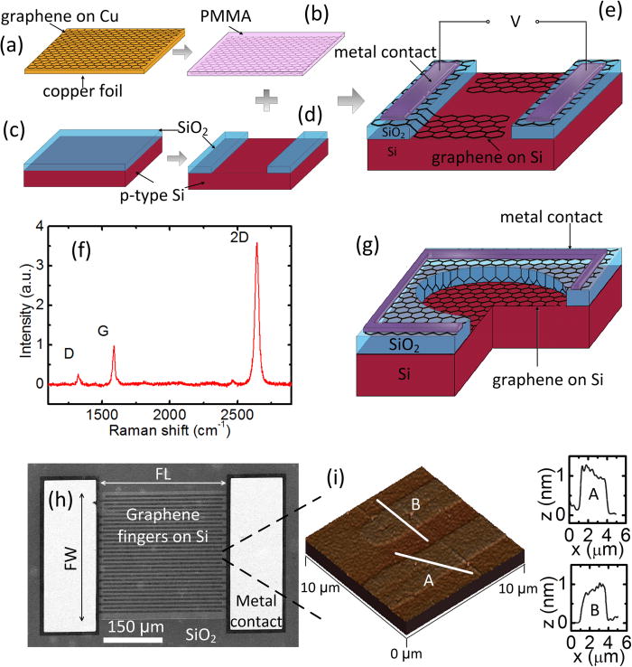 Metal-semiconductor-metal photodetectors based on graphene/p-type ...