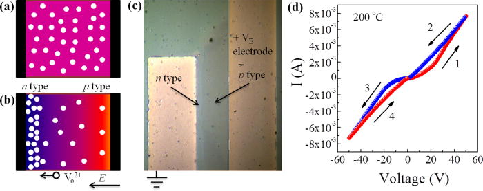 Detection of electrically formed photosensitive area in Ca-doped BiFeO3 ...