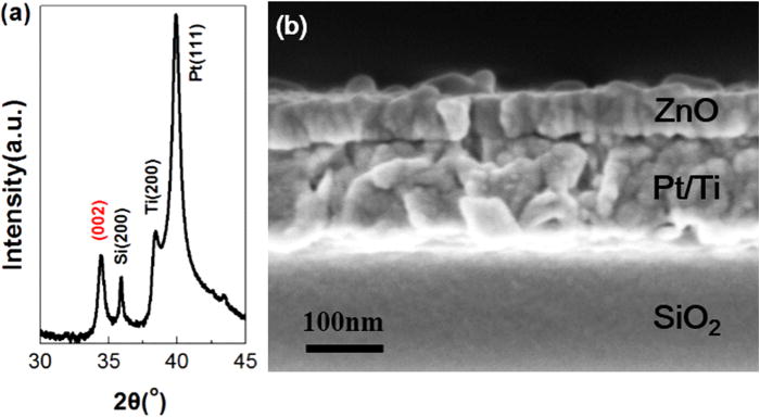 Bipolar resistive switching characteristics of low temperature grown ...