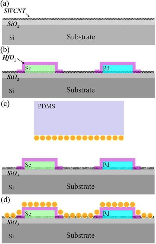 Plasmonic enhancement of photocurrent in carbon nanotube by Au ...