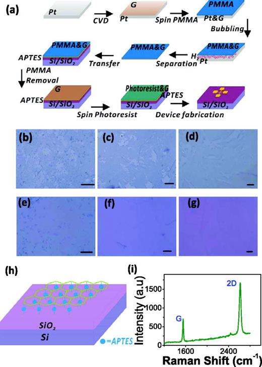 Scalable fabrication of graphene devices through photolithography ...