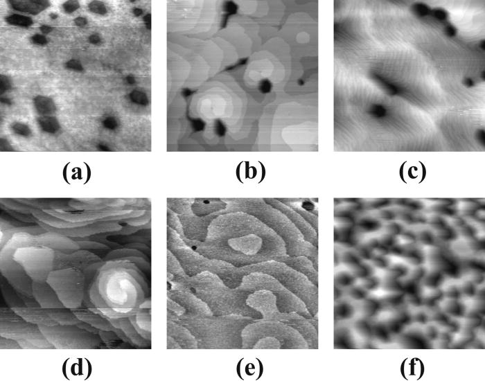 The study of in situ scanning tunnelling microscope characterization on ...