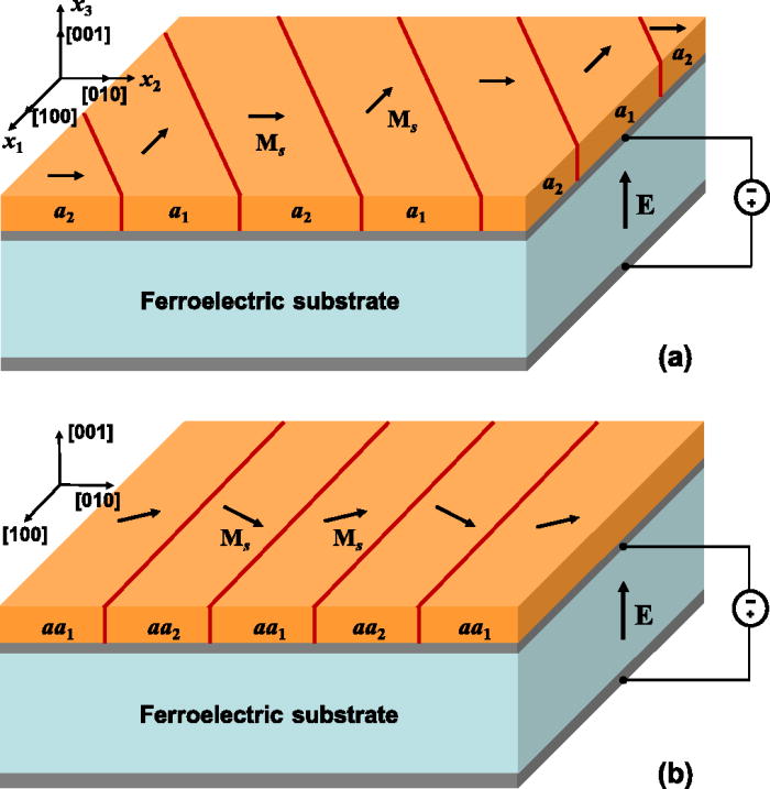 Strain-mediated electric-field control of multiferroic domain ...