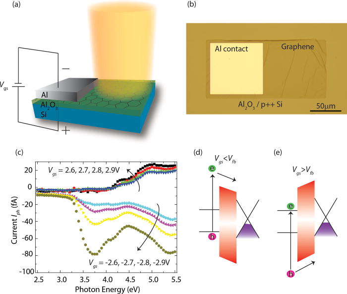 Graphene as transparent electrode for direct observation of hole ...