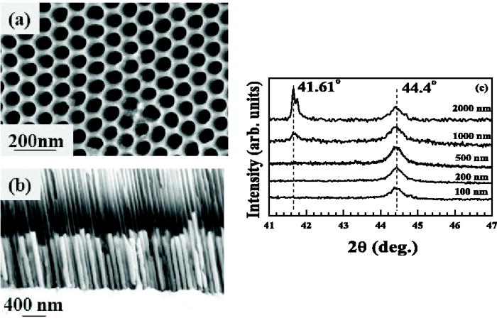 Magnetic properties of ordered bi-layer nanowire arrays with different Co crystallographic ...