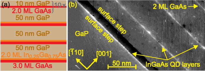 Spatial structure of In0.25Ga0.75As/GaAs/GaP quantum dots on the atomic ...