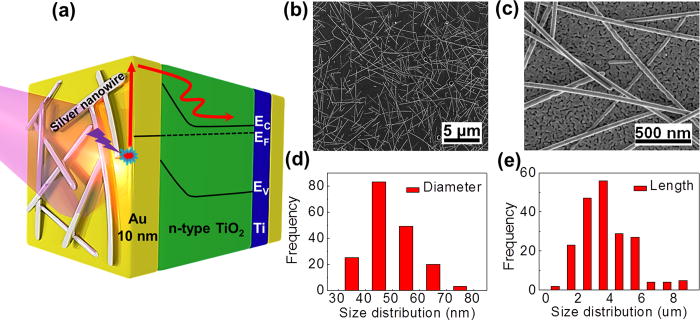 Probing polarization modes of Ag nanowires with hot electron detection on Au/TiO2 nanodiodes ...
