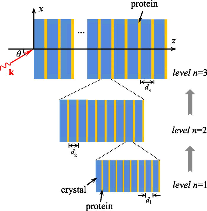 Broadband wave filtering of bioinspired hierarchical phononic crystal ...