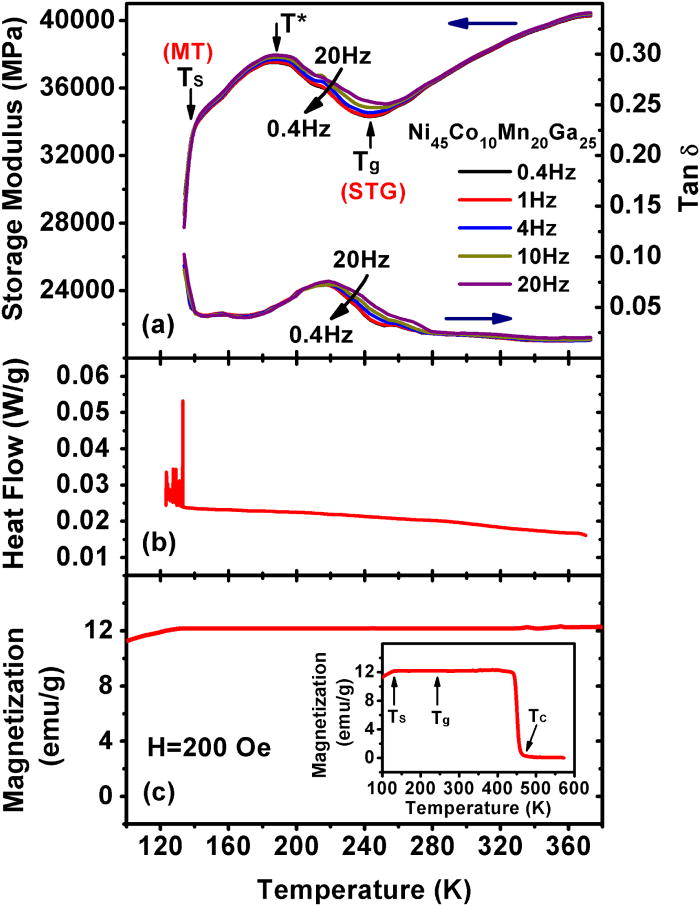 Spontaneous strain glass to martensite transition in ferromagnetic Ni ...