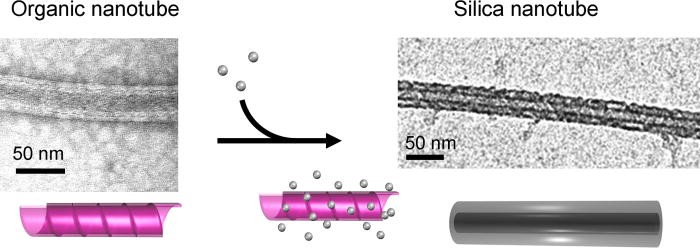 Determination of the elastic properties of SiO2 nanotubes templated from organic amphiphilic ...