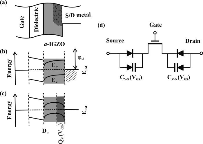 Analysis of amorphous indium-gallium-zinc-oxide thin-film transistor ...