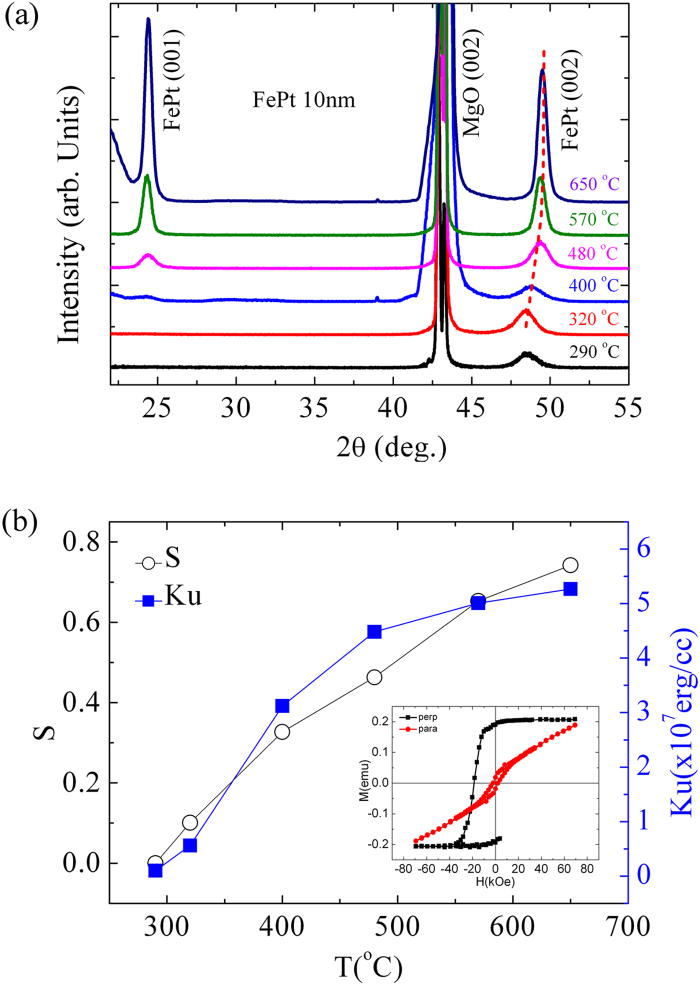 Structural and magnetic properties of patterned perpendicular media ...