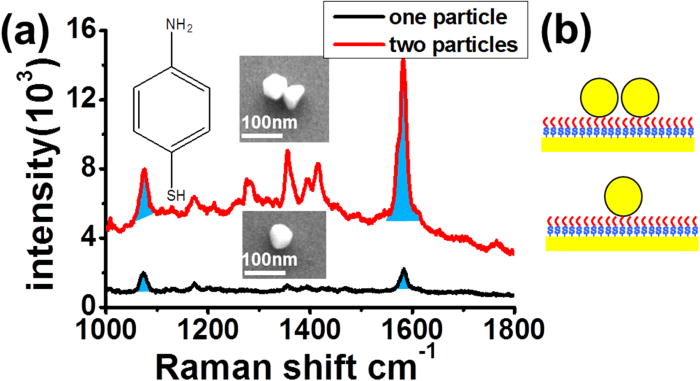Electromagnetic field redistribution in hybridized plasmonic particle ...