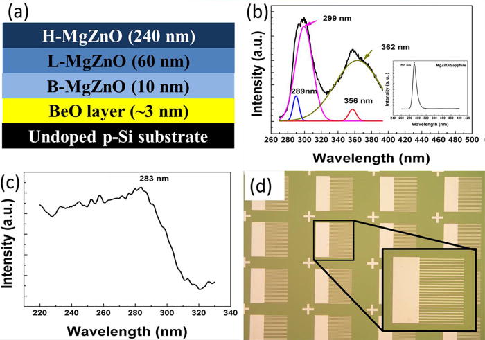 Dual-band MgZnO ultraviolet photodetector integrated with Si | Applied ...