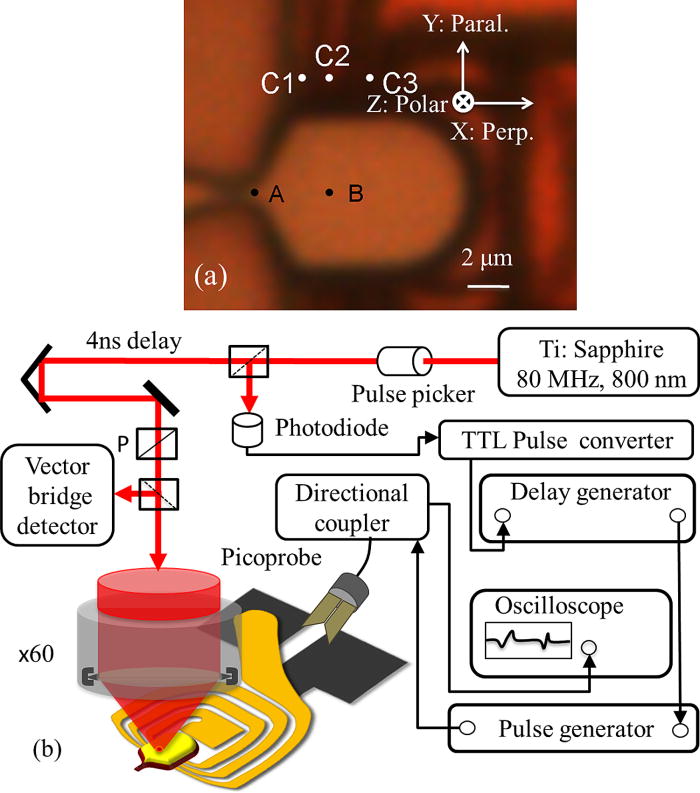 Time resolved scanning Kerr microscopy of hard disk writer structures ...