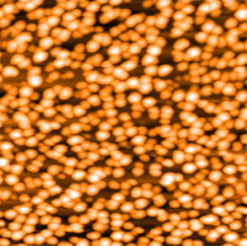 InAs/GaAs quantum dot solar cell with an AlAs cap layer | Applied ...